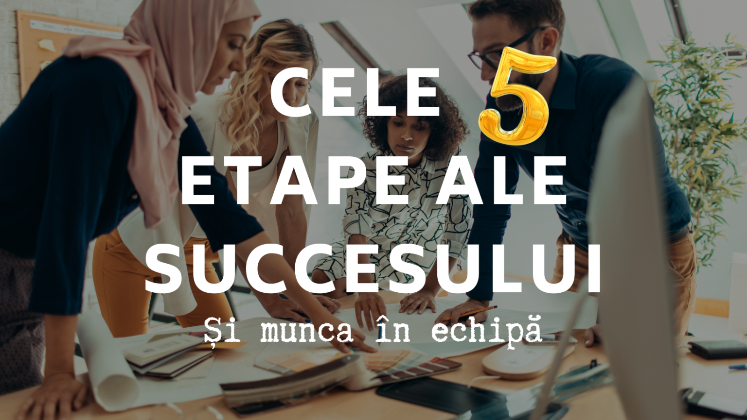 Cele 5 Etape ale Succesului și Munca în Echipă - Cerasela Moroiu